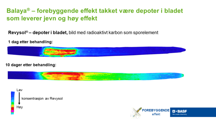 Balaya® - Soppmiddel utan SDHI