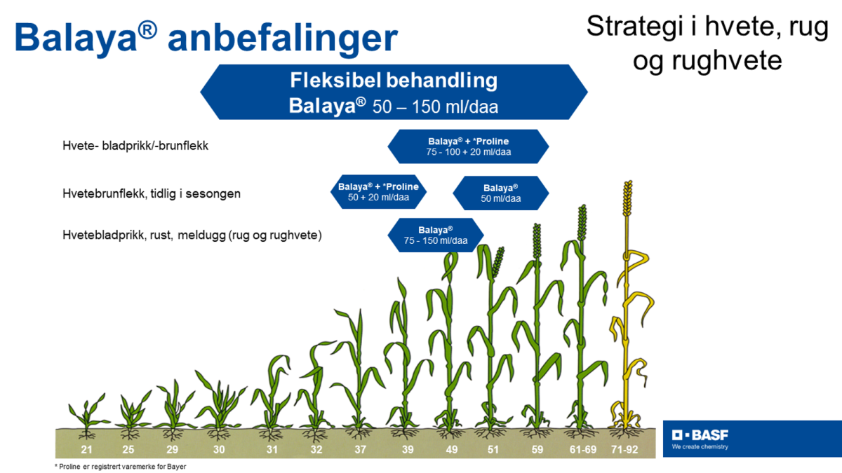 Balaya® - Soppmiddel utan SDHI