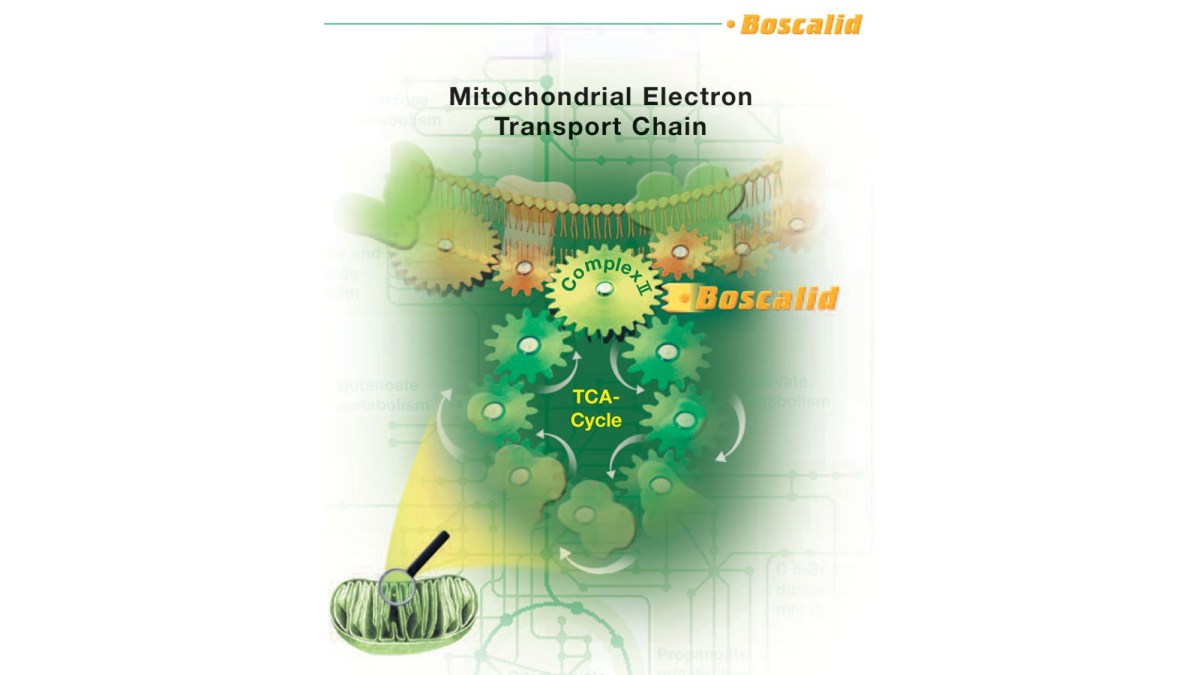 Pictor Active - Agricultural Solutions